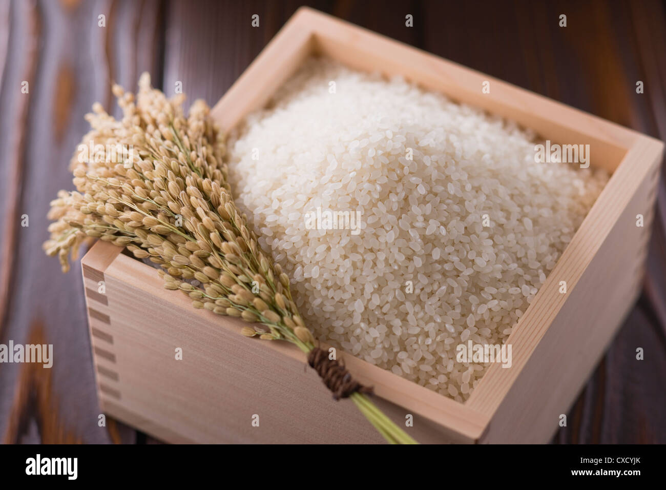 Rice and Rice Ear in Measuring Cup Stock Photo - Alamy