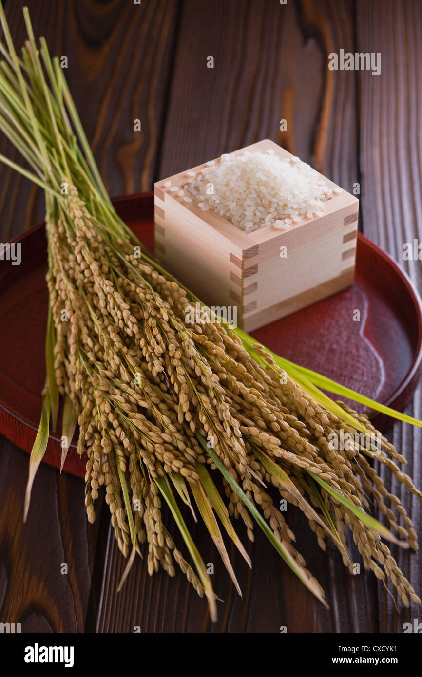 Rice in Measuring Cup and Rice Ear Stock Photo - Alamy