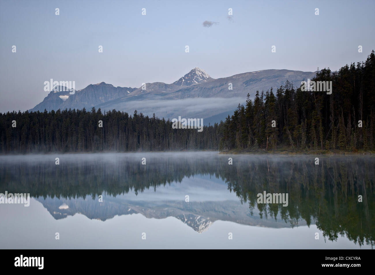 Mount Edith Cavell reflected in Leach Lake, Jasper National Park ...