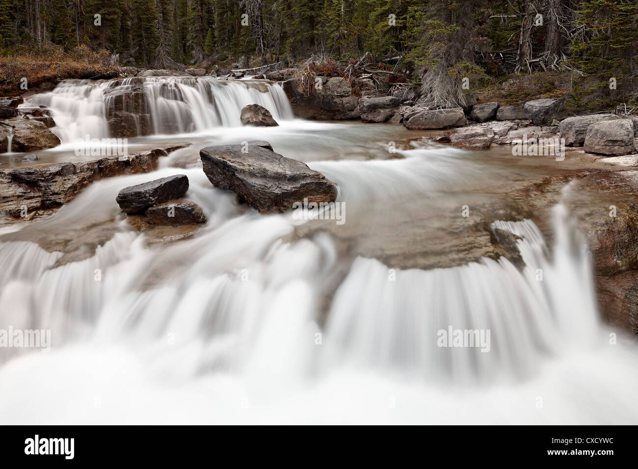 Falls on Nigel Creek, Banff National Park, UNESCO World Heritage Site ...
