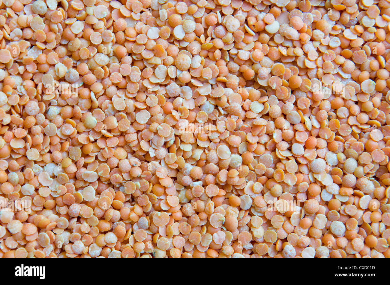 Full frame image of dried red lentils Stock Photo - Alamy