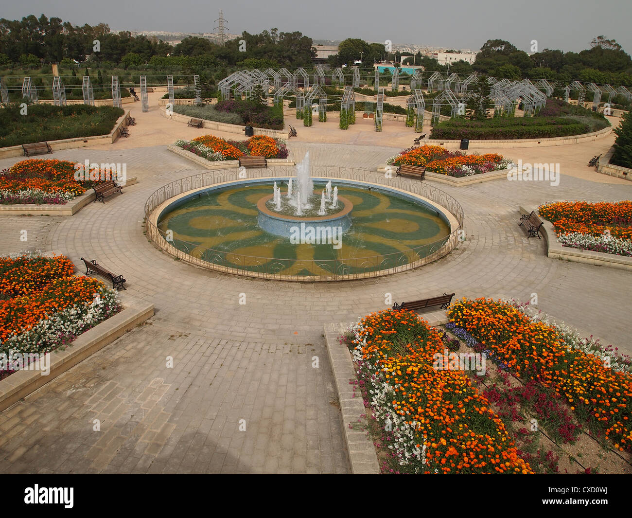 A park with lots of pot marigolds Stock Photo - Alamy