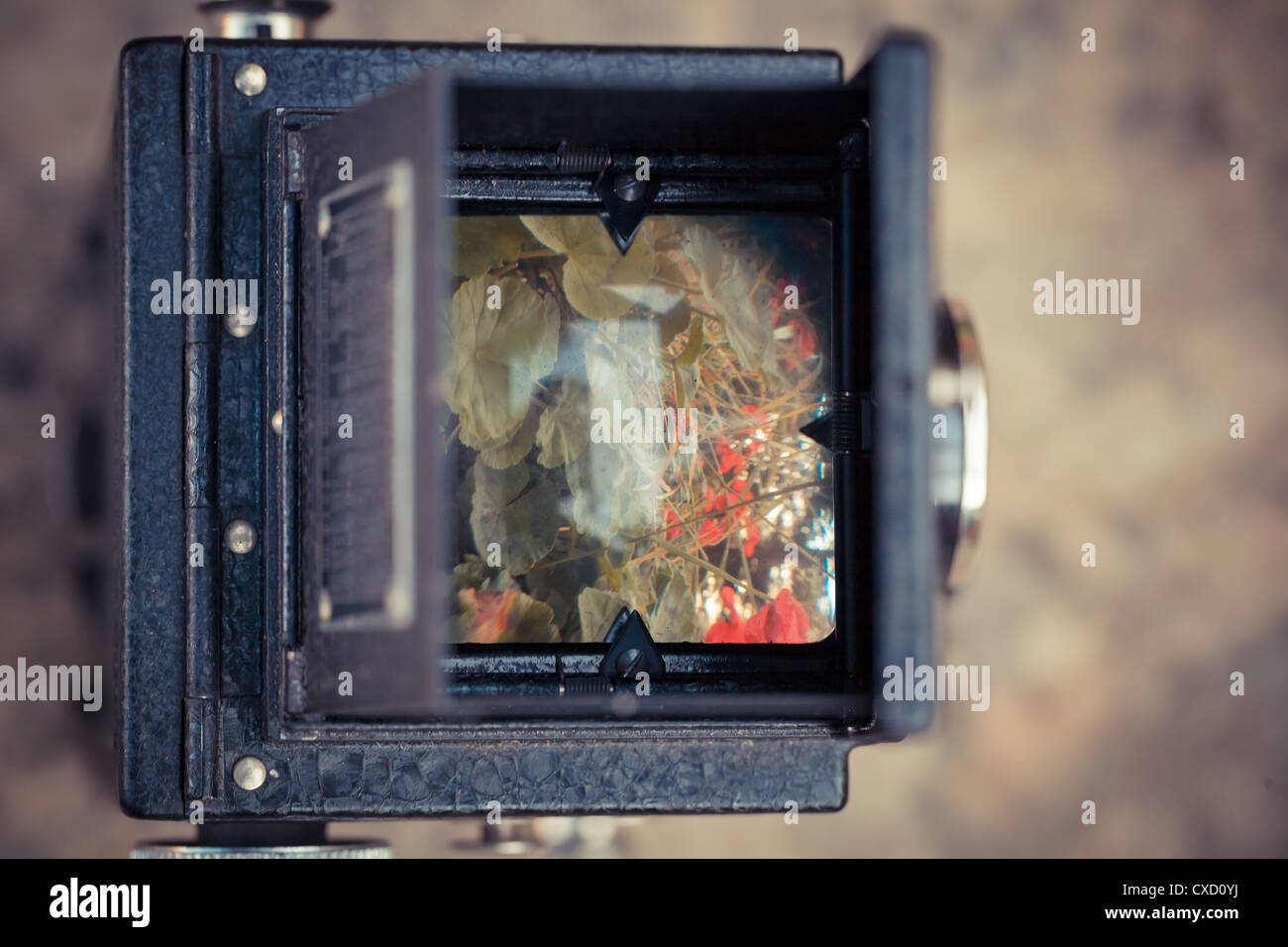 The beautiful design of an old vintage camera with analogic film Stock ...