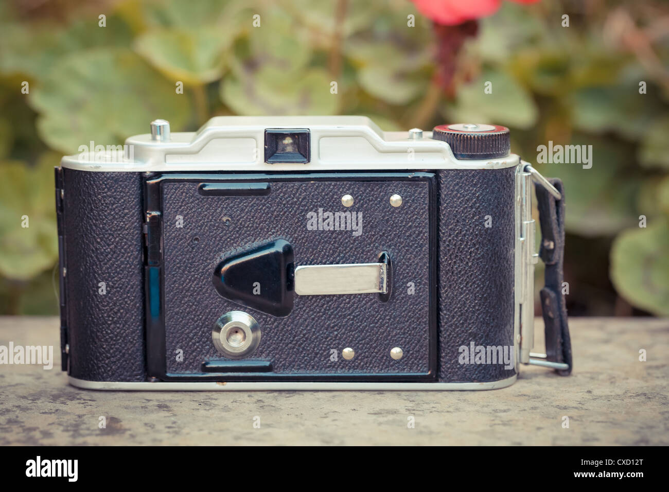 The beautiful design of an old vintage camera with analogic film Stock ...