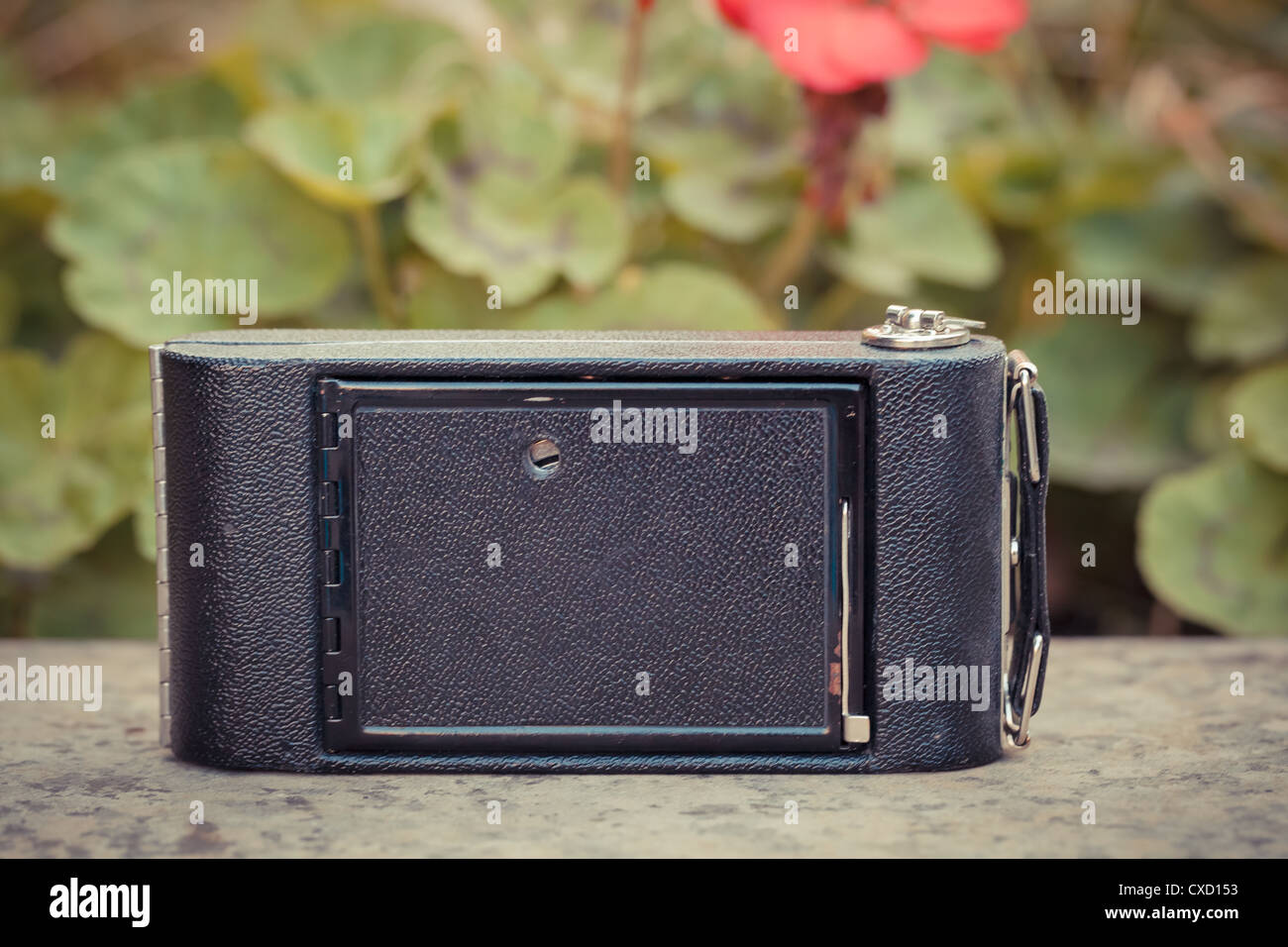 The beautiful design of an old vintage camera with analogic film Stock ...