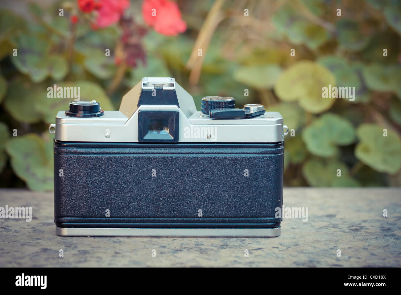 The beautiful design of an old vintage camera with analogic film Stock ...