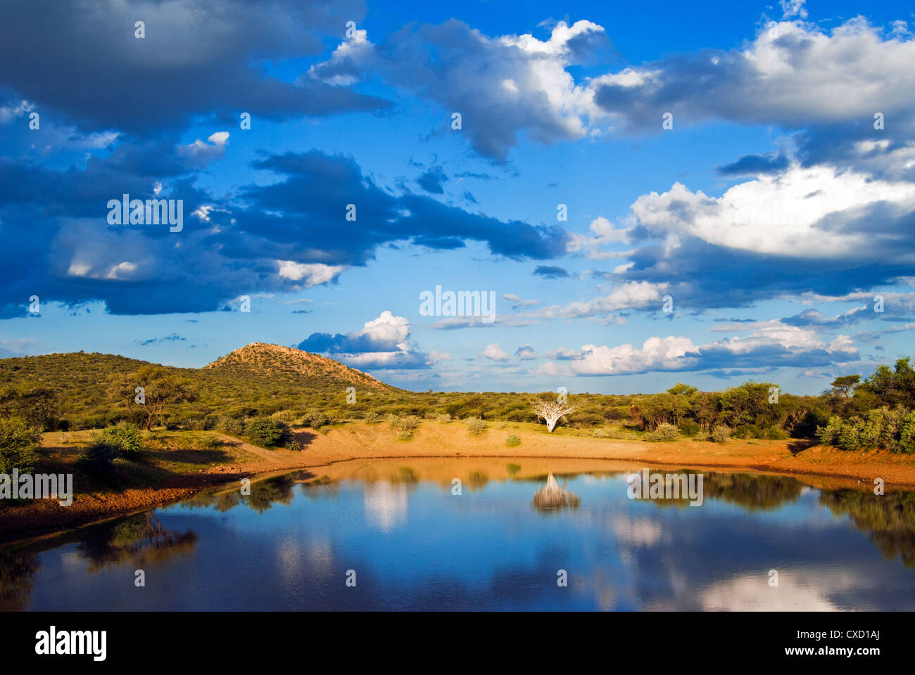 Ongava game reserve hi-res stock photography and images - Alamy