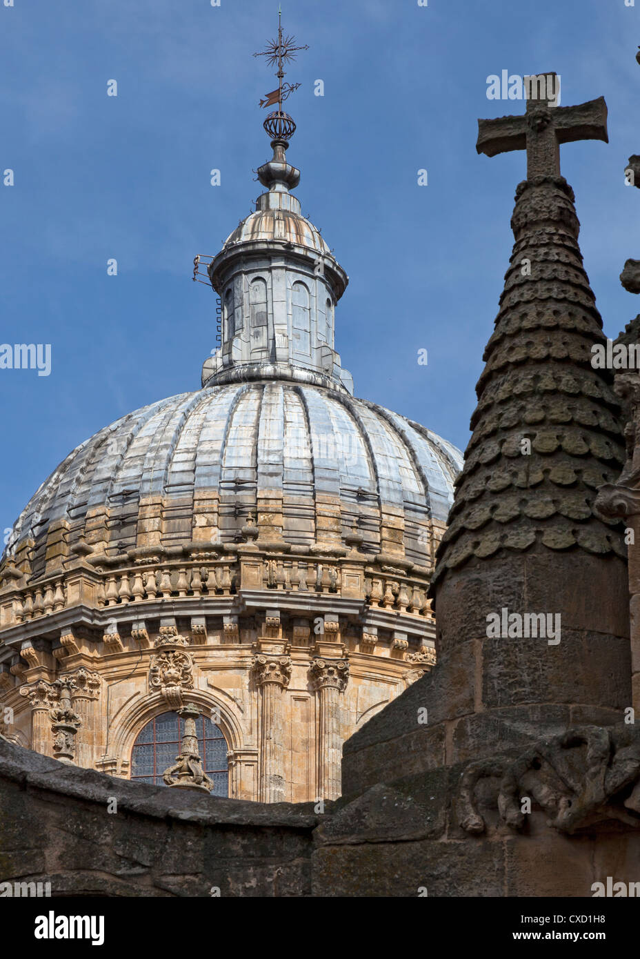 Vertical iew of Old Cathedral dome with gothic foreground architecture ...