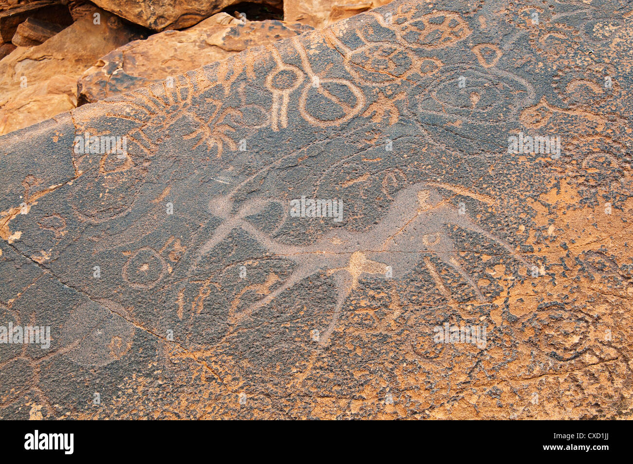 Petroglyphs or rock engravings, Twyfelfontein, UNESCO World Heritage ...