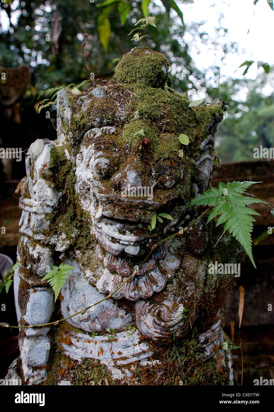 Close up moss covered statue hi-res stock photography and images - Alamy