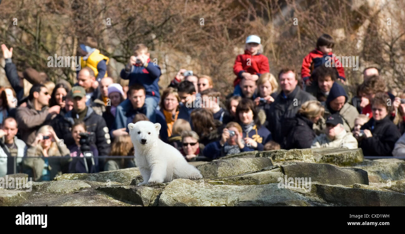Crowd favorite hi-res stock photography and images - Alamy