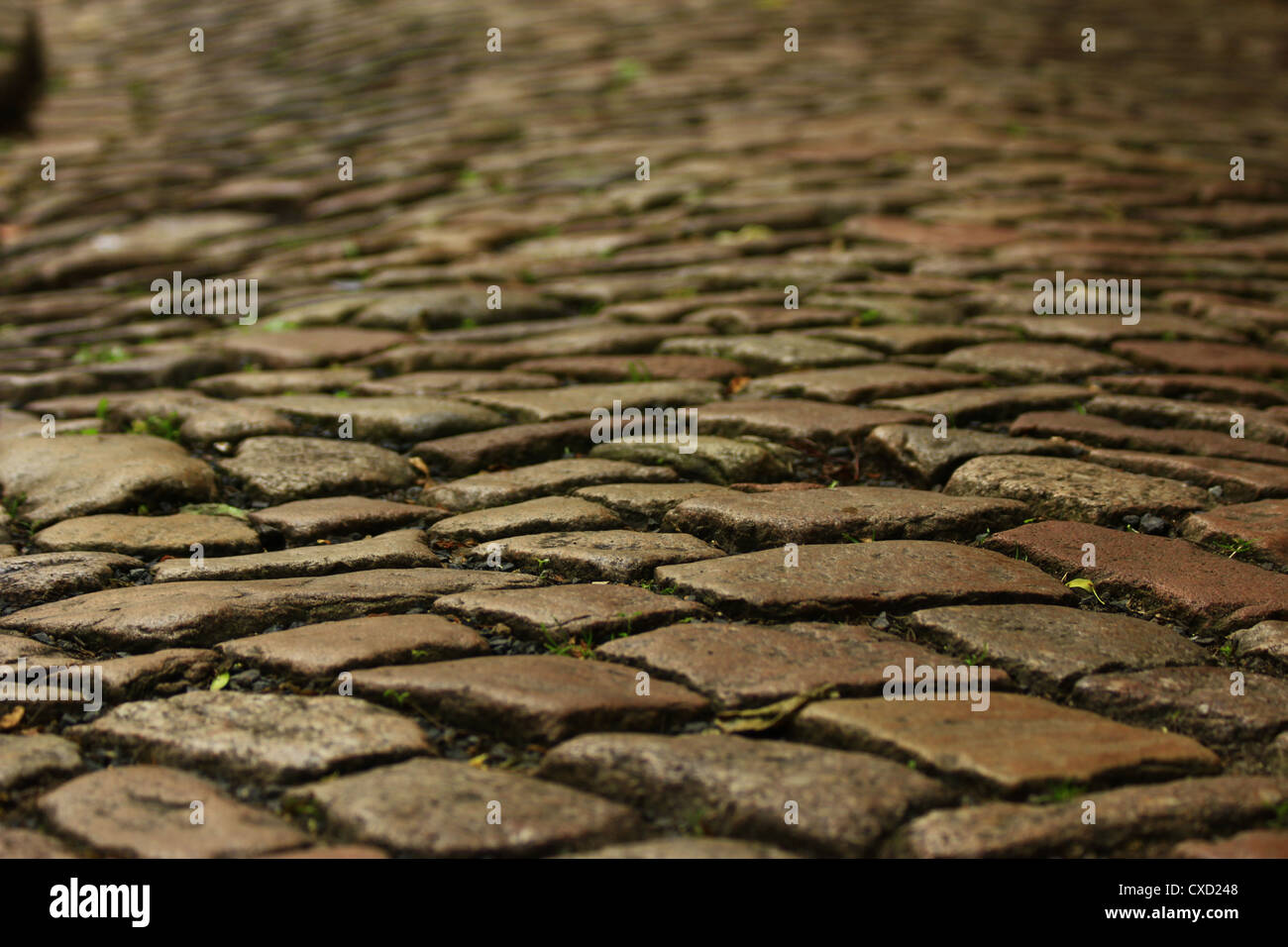 Cobble stones hi-res stock photography and images - Alamy