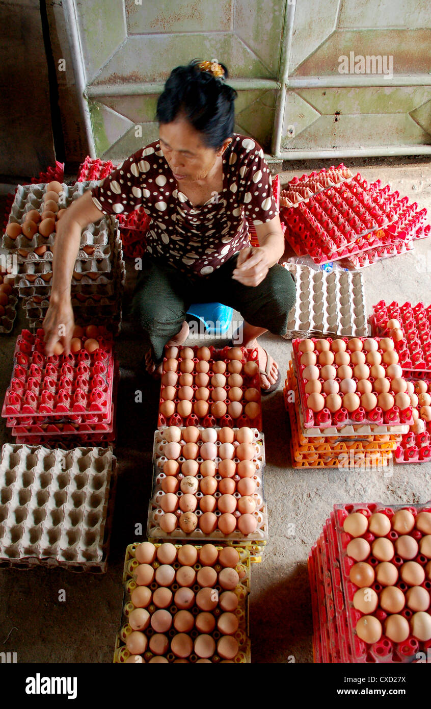 Woman working in Bali Stock Photo - Alamy