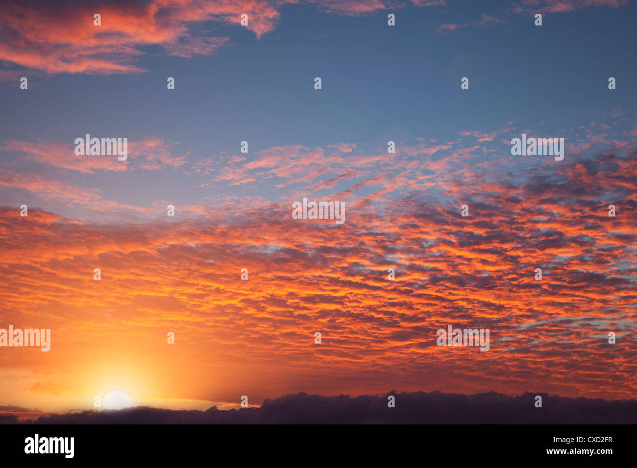 Miami landscapes hi-res stock photography and images - Alamy