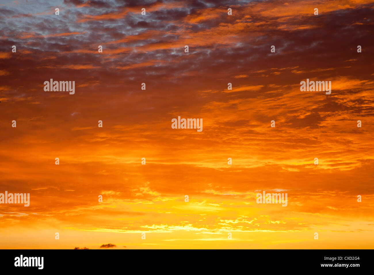 Red sky at sunrise over Atlantic Ocean, view from Miami Beach, Florida ...