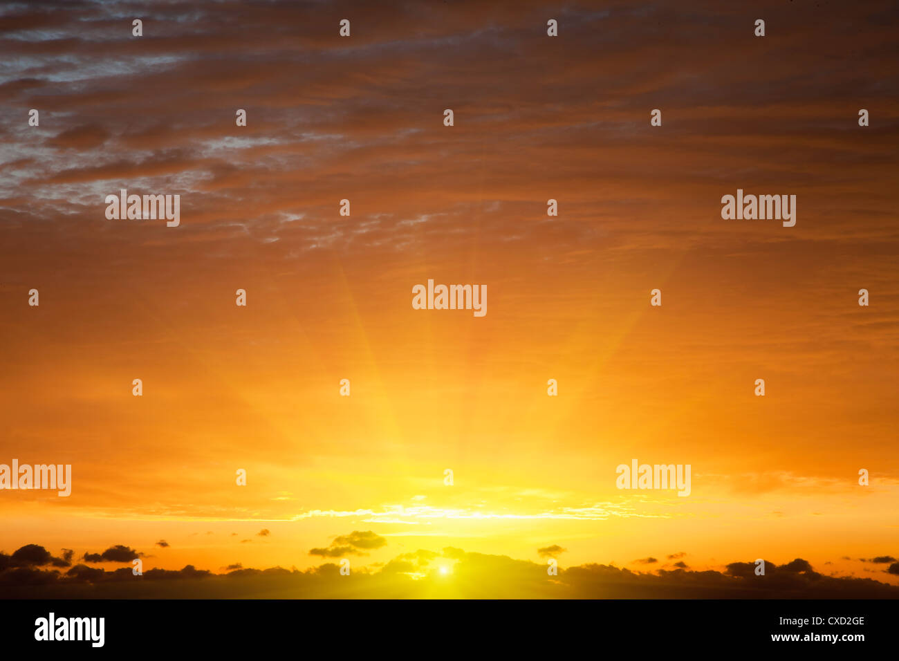 Red sky at sunrise over Atlantic Ocean, view from Miami Beach, Florida ...
