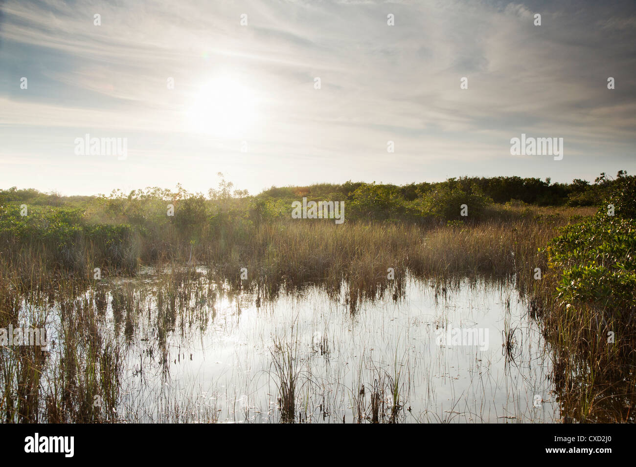 Everglades National Park, UNESCO World Heritage Site, Florida, United ...