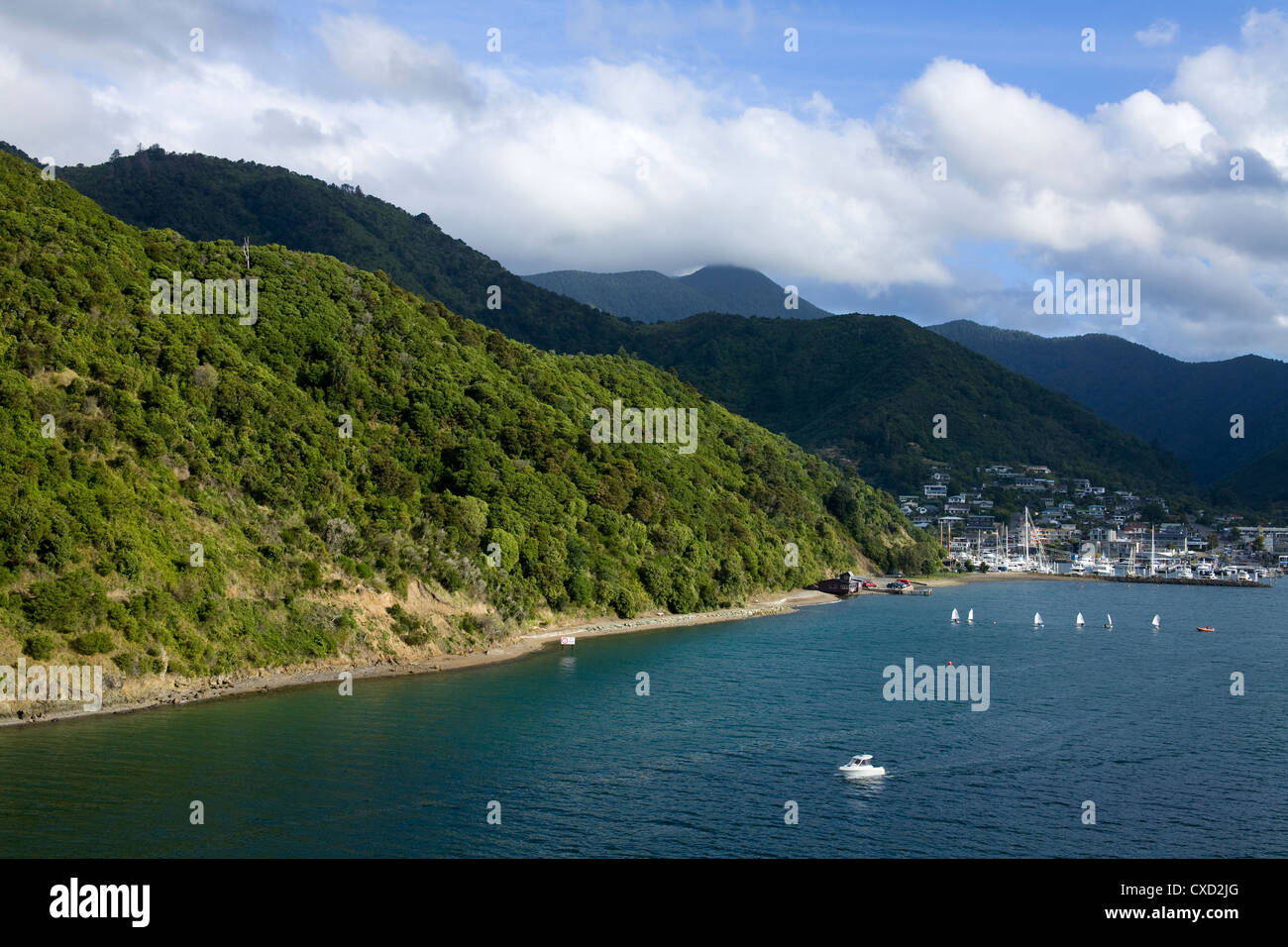 Picton place hi-res stock photography and images - Alamy