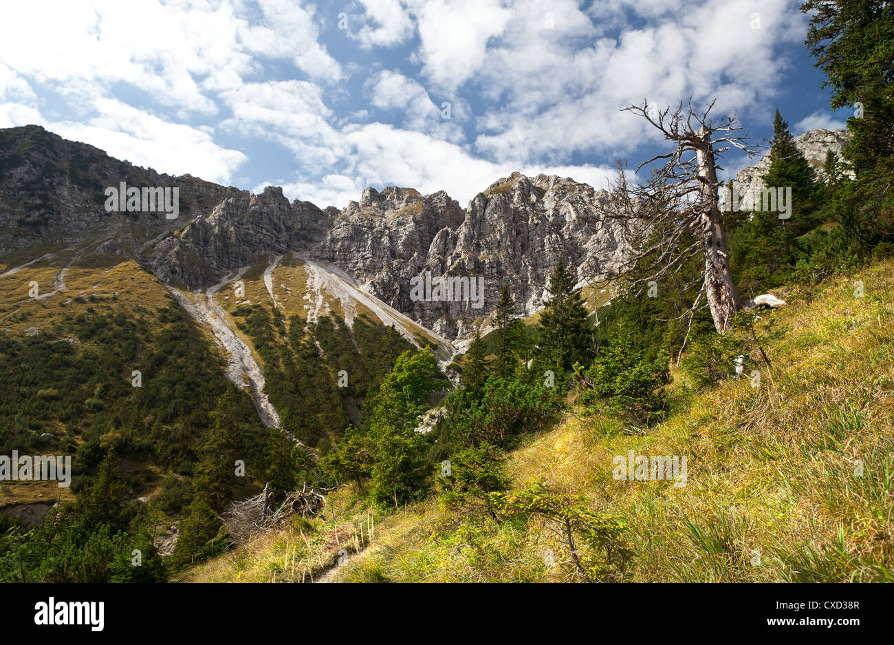 Bavarian highlands hi-res stock photography and images - Alamy