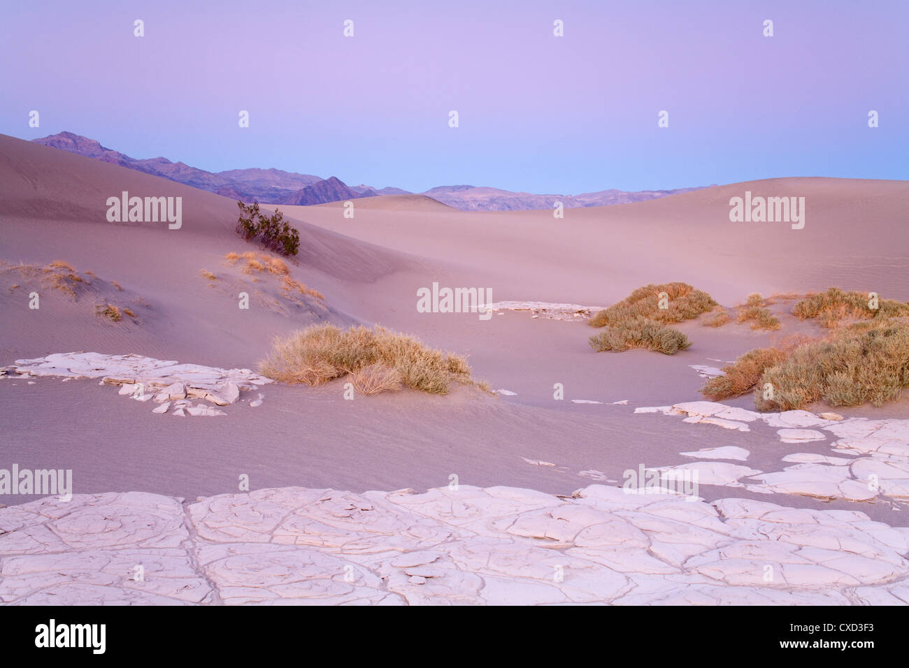 Dried mud in the Mesquite Flat Sand Dunes, Death Valley National Park ...