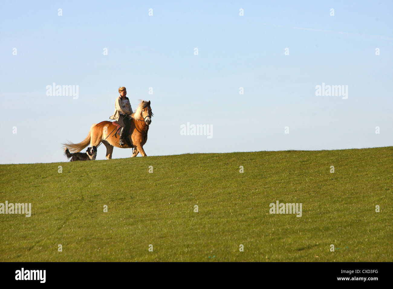 Dike woman horse hi-res stock photography and images - Alamy
