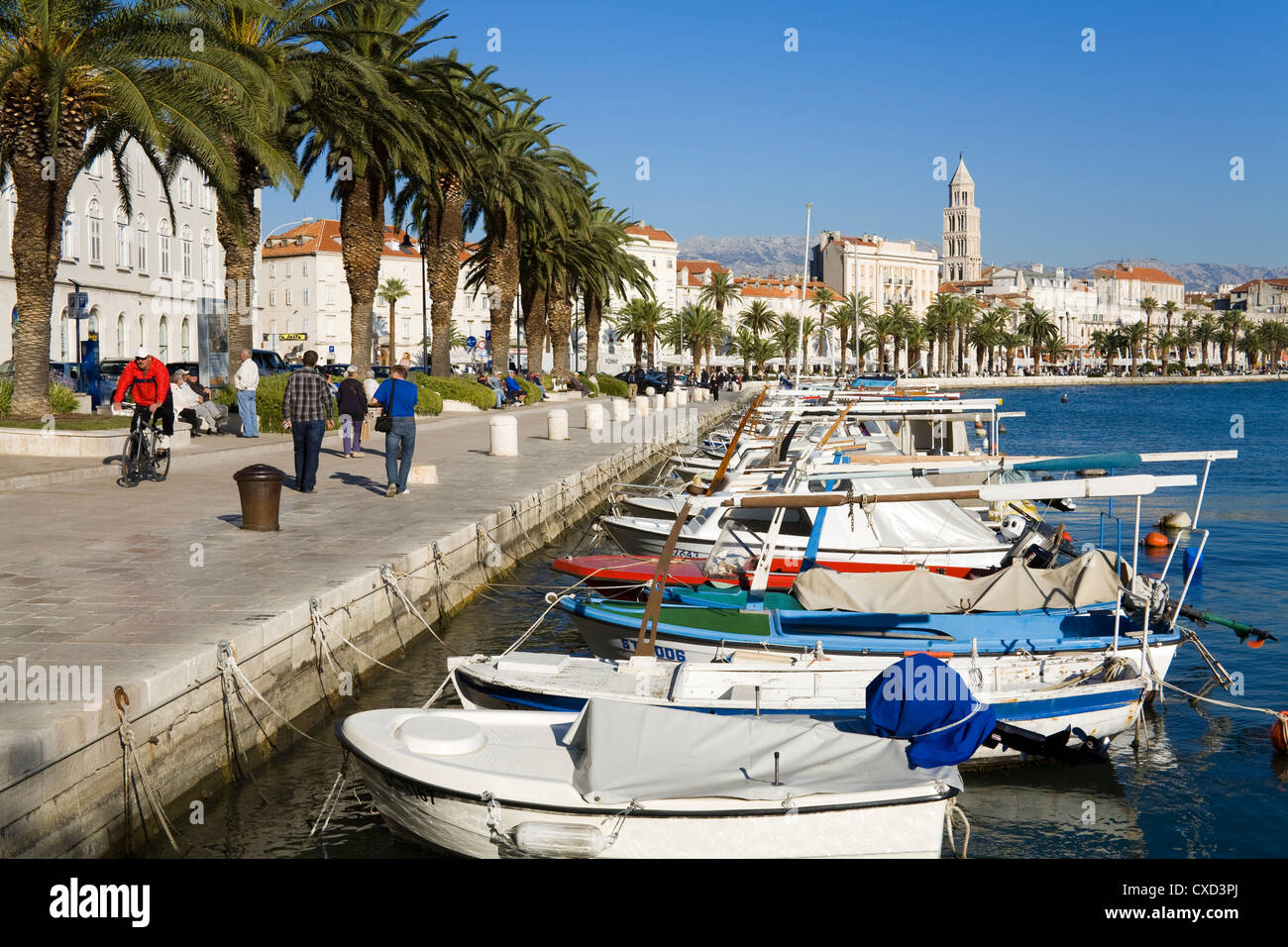 Fishing boats on the waterfront, Split, Dalmatian Coast, Croatia ...