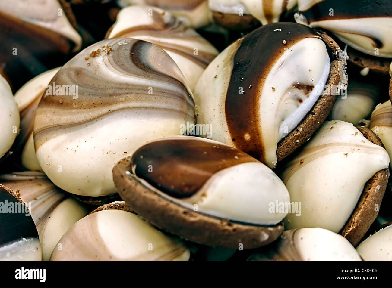 Chocolate shells hi-res stock photography and images - Alamy