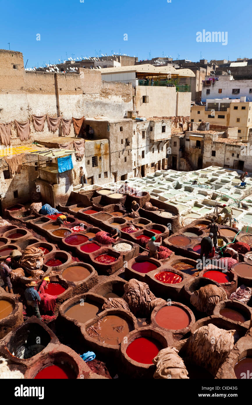 Chouwara traditional leather tannery in Old Fez, vats for tanning and ...