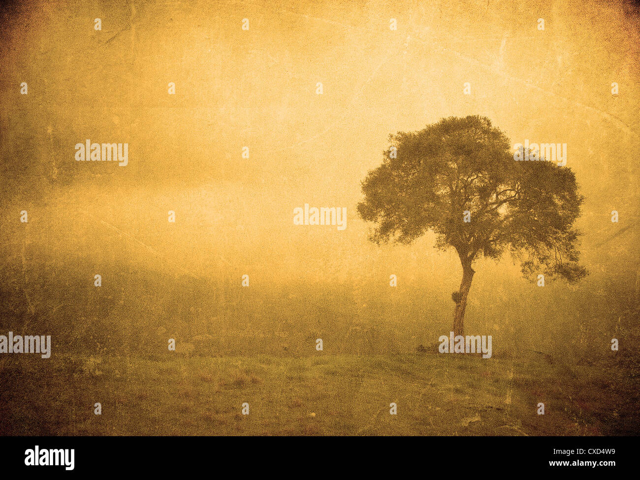grunge image of a tree on a vintage paper Stock Photo - Alamy