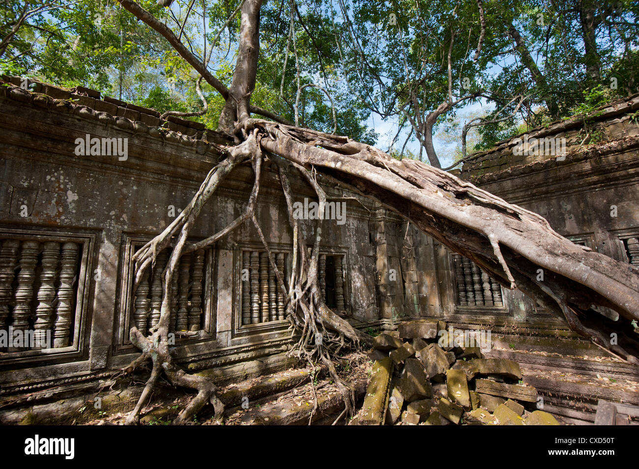 Ruins of Beng Mealea, Angkor, Cambodia Stock Photo - Alamy