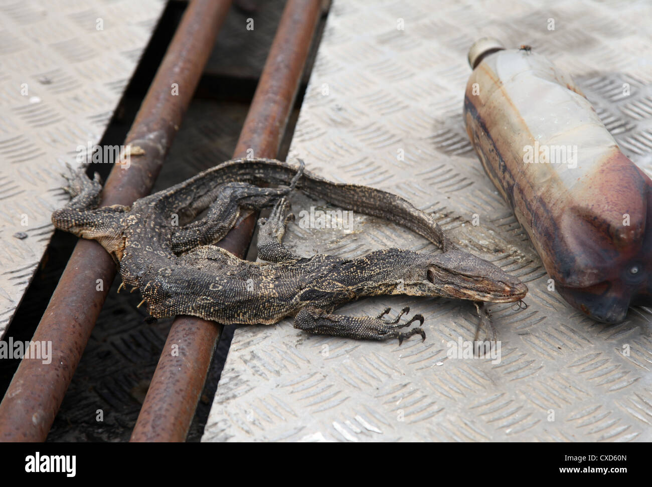 Dead animal bottle hi-res stock photography and images - Alamy