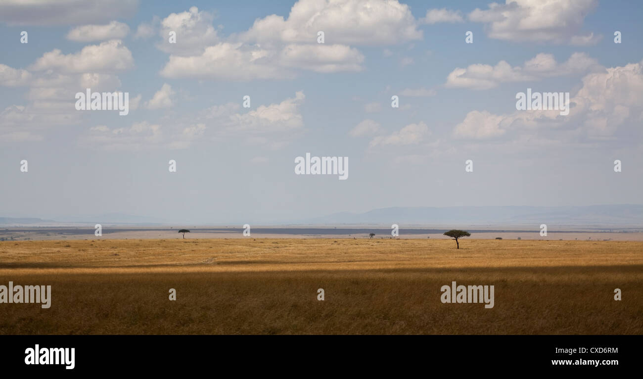 landscape of the savannah in Kenya Stock Photo - Alamy