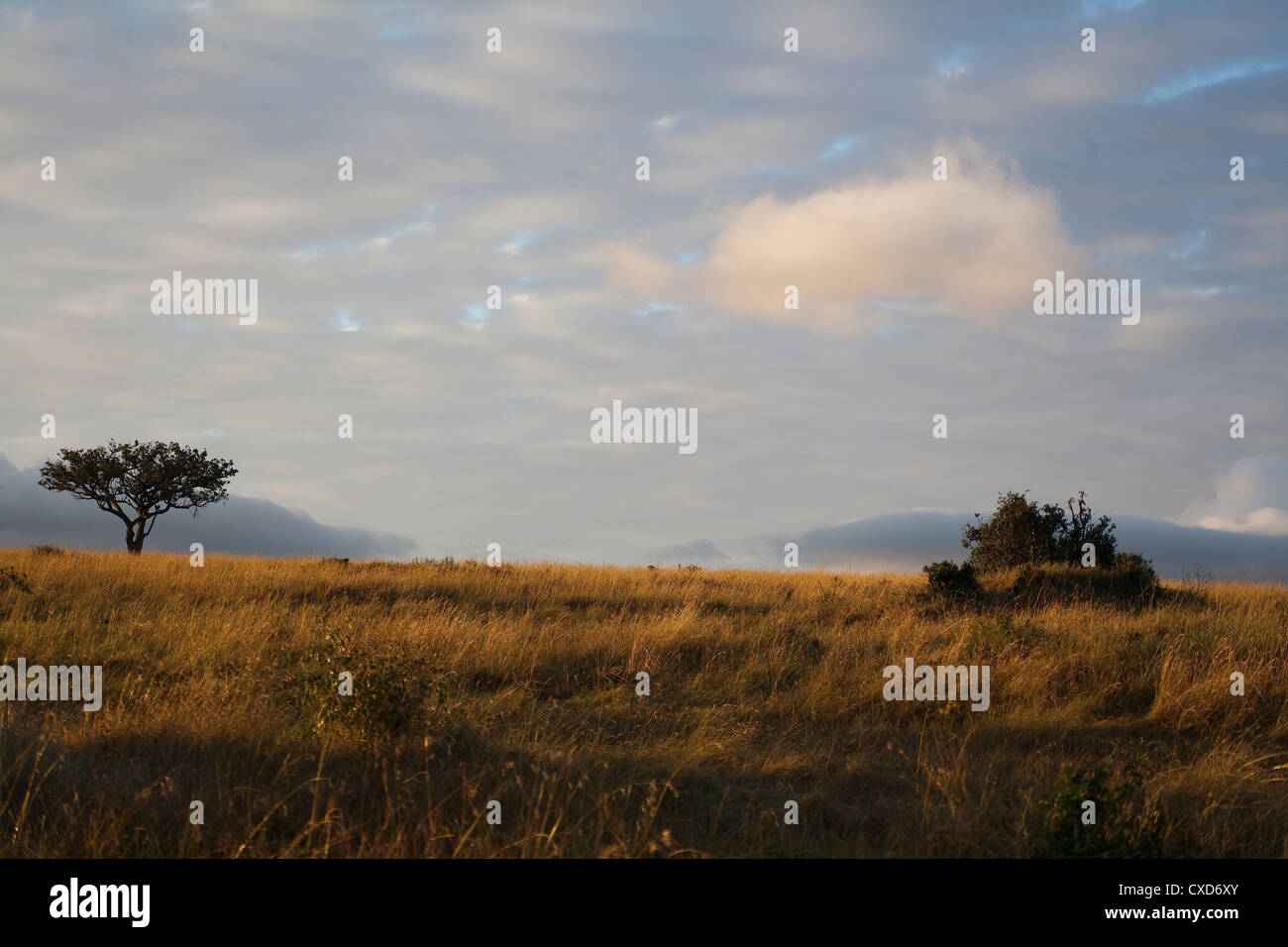 Kenya landscape hi-res stock photography and images - Alamy