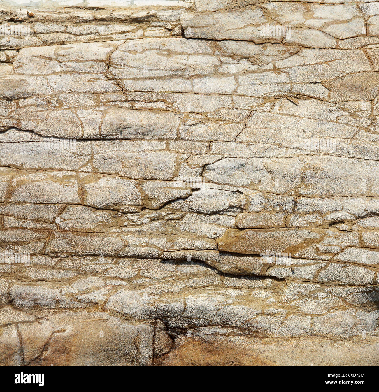 Closeup picture of a sandstone texture Stock Photo - Alamy