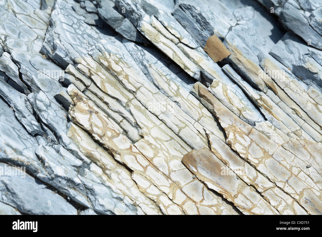 Closeup picture of a slate texture Stock Photo - Alamy