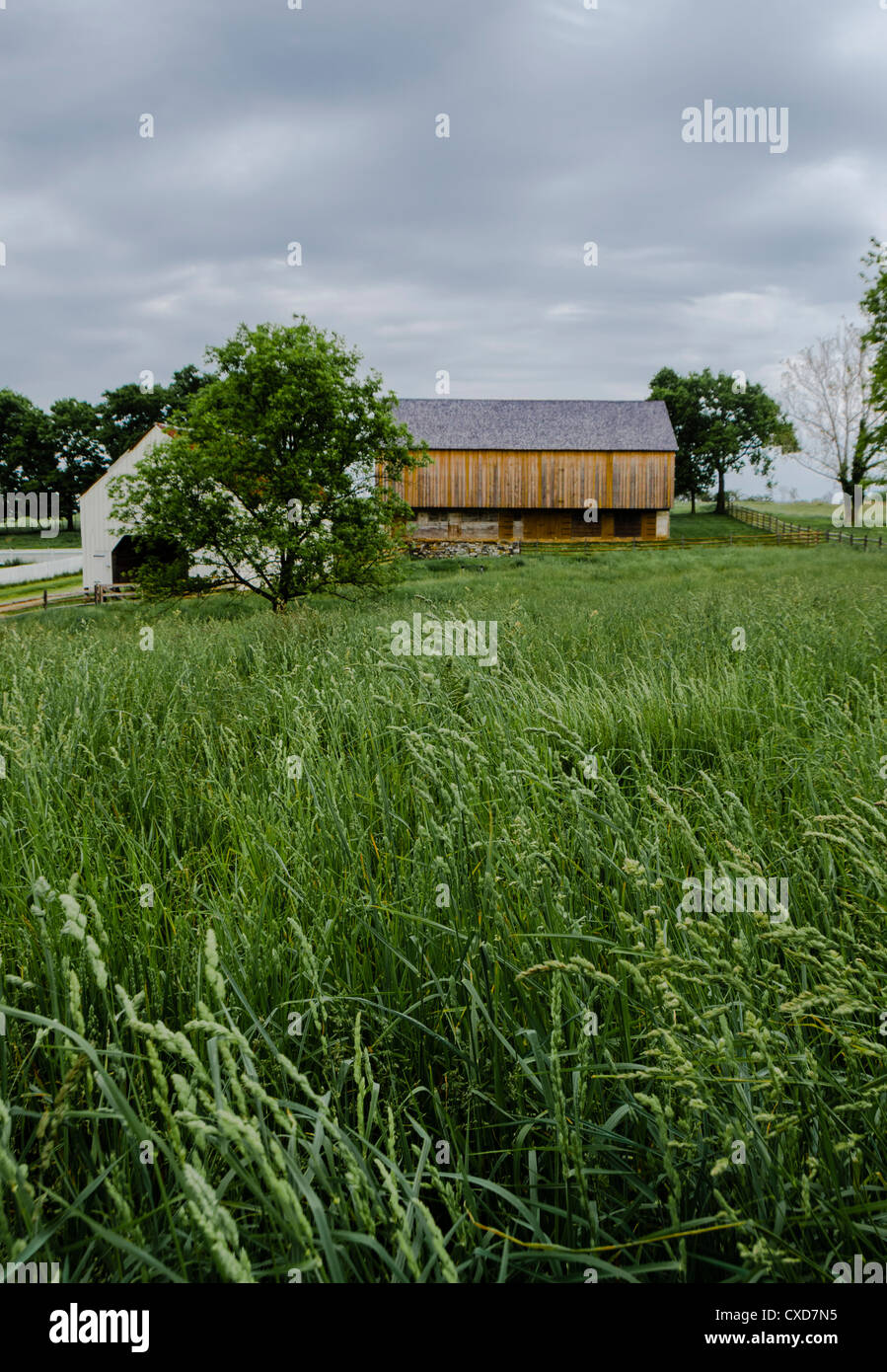 The Poffenberger farm at Antietam National Battlefield Stock Photo - Alamy