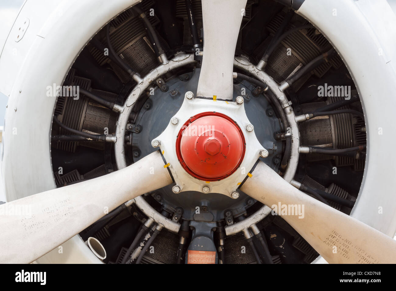 Front view glider in hi-res stock photography and images - Alamy