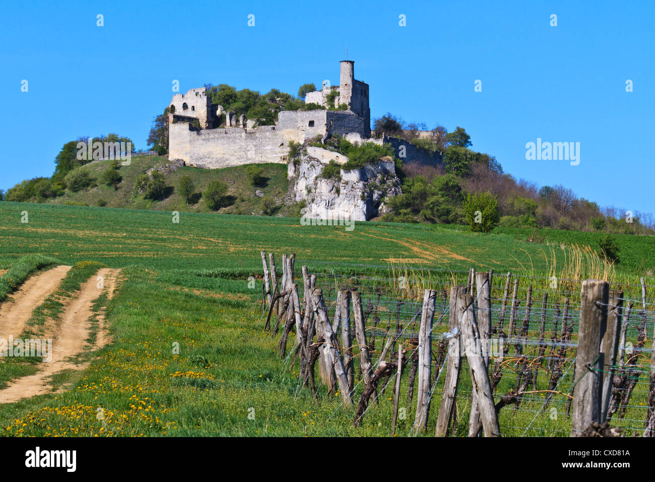 Falkenstein castle hi-res stock photography and images - Alamy