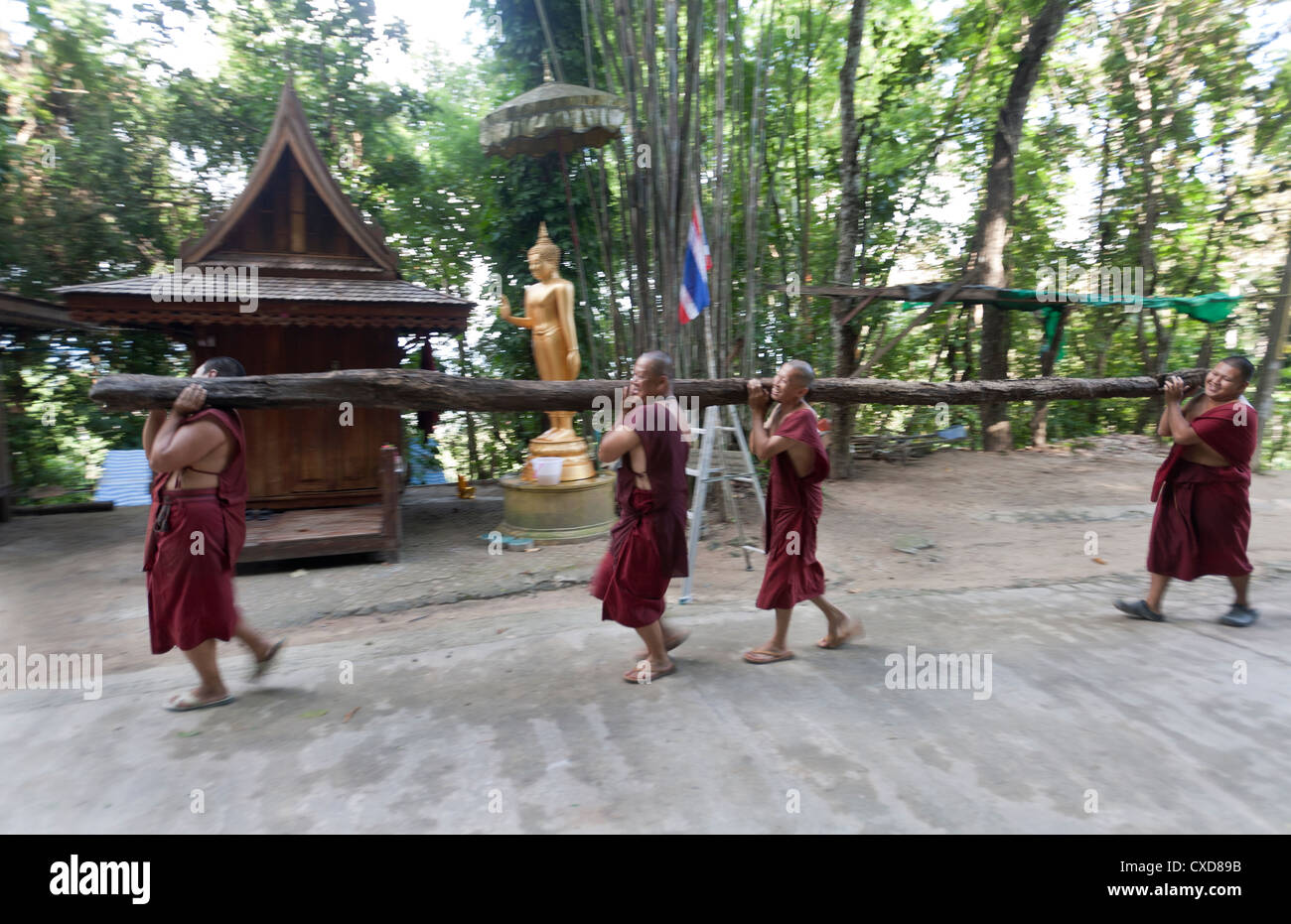 Buddhist monks carrying a trunk of wood at Wat Pha Lat monastery Chiang ...