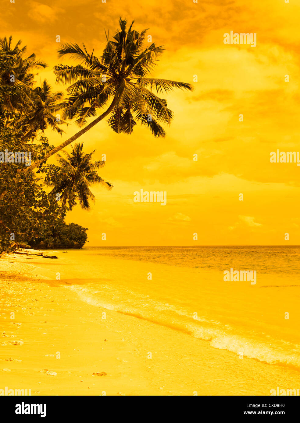 tropical island at sunset Stock Photo - Alamy