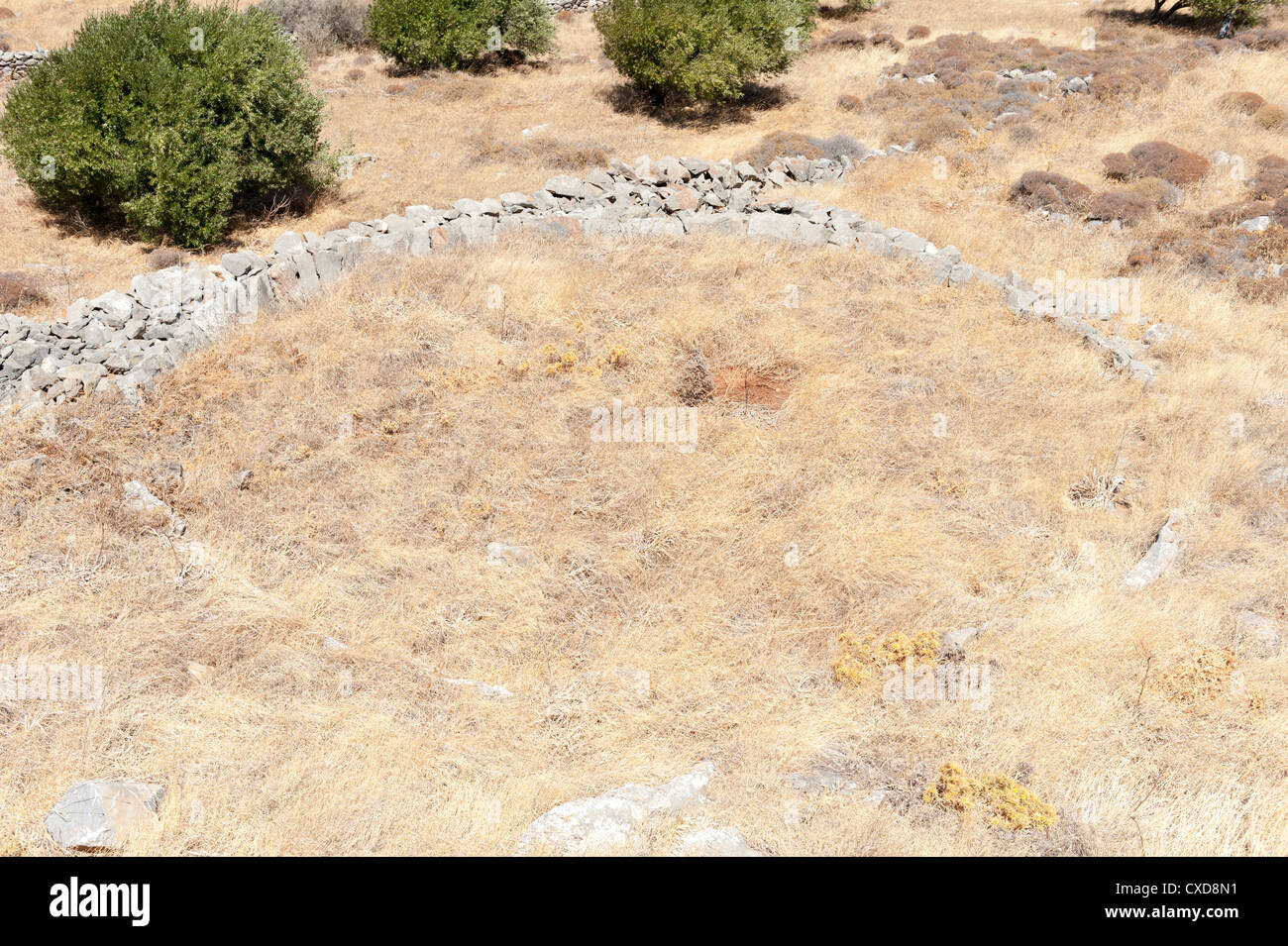 Threshing circle hi-res stock photography and images - Alamy
