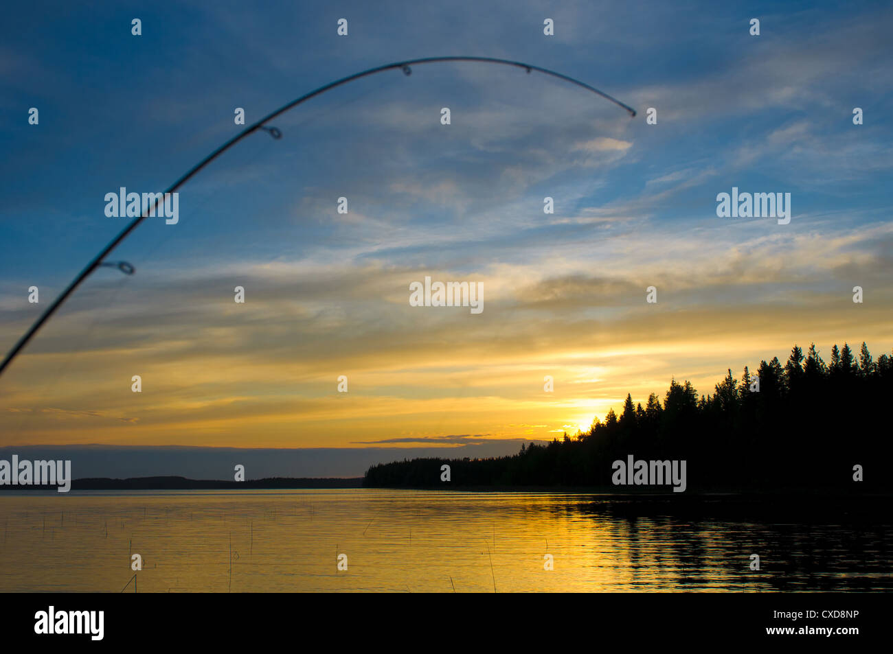 Fishing night hi-res stock photography and images - Alamy