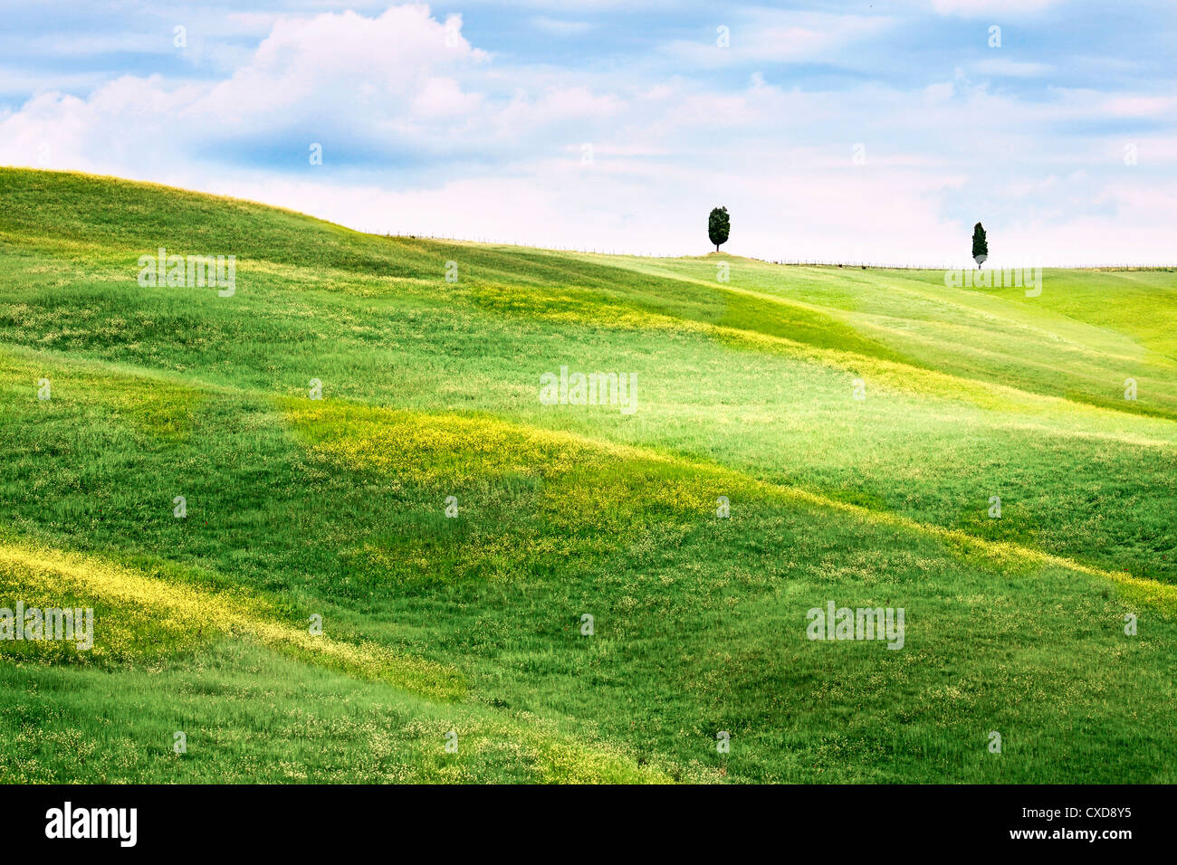 Hill country hilly landscape hi-res stock photography and images - Alamy