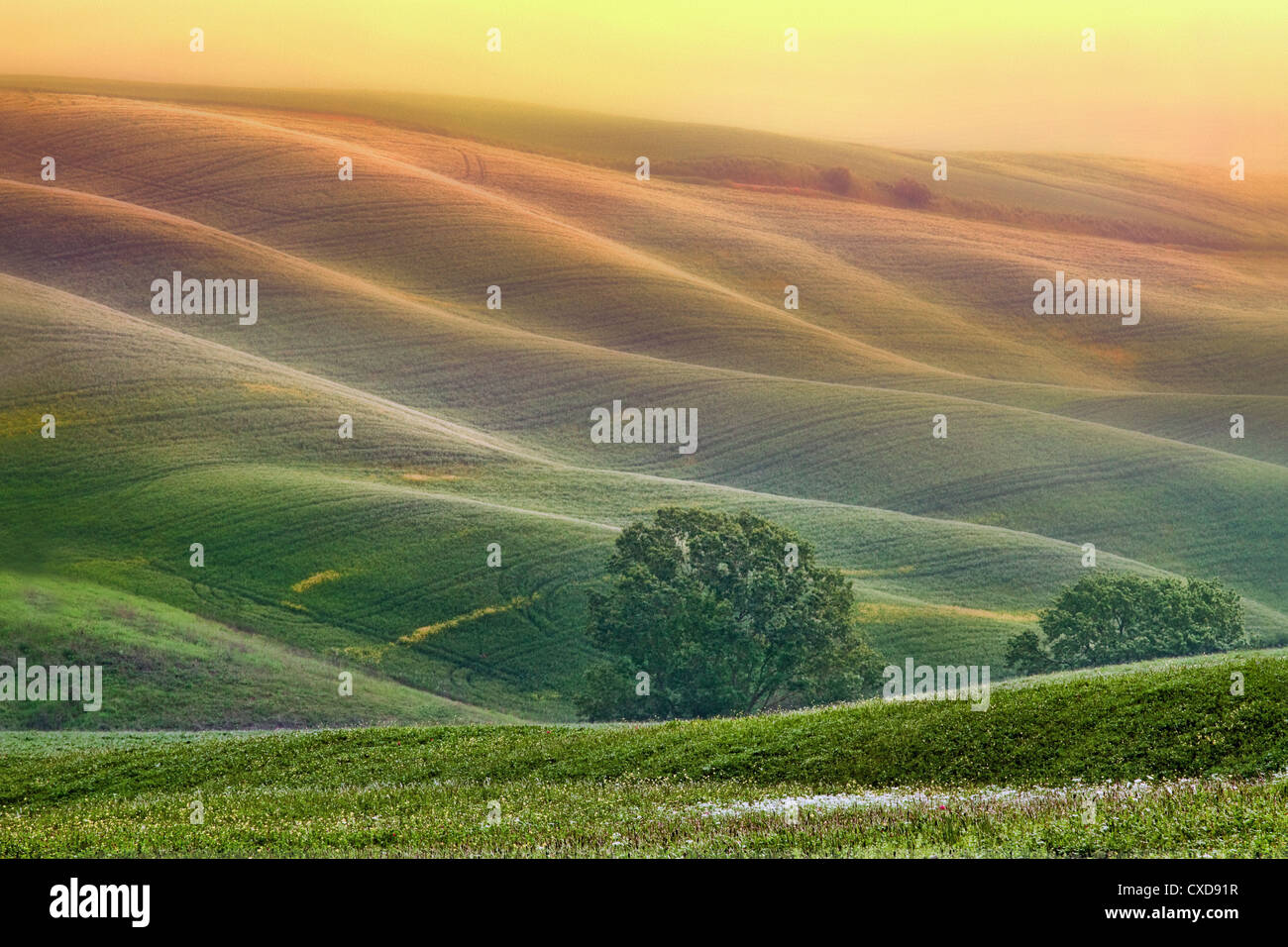 Rural countryside landscape in Tuscany region of Italy Stock Photo - Alamy