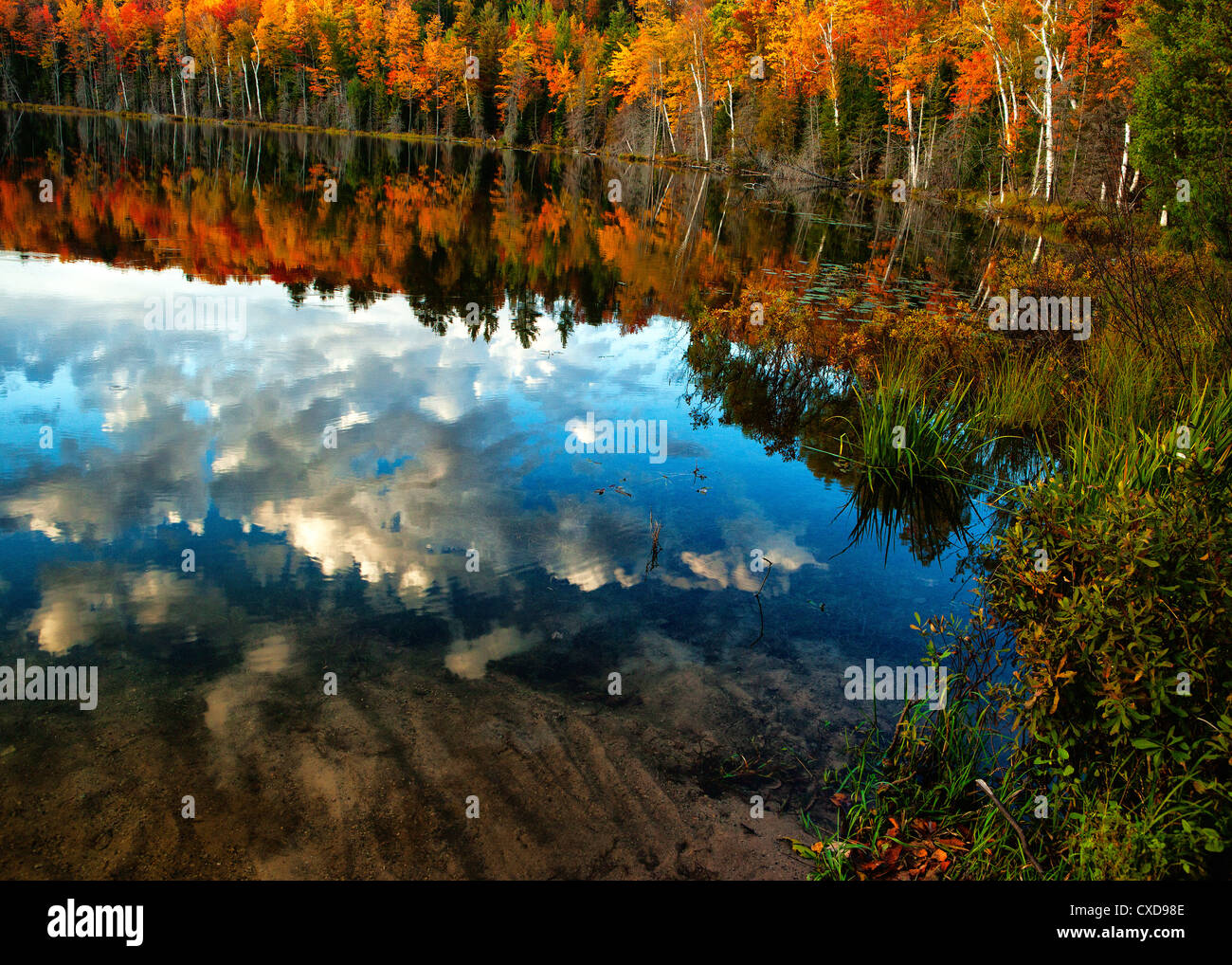 America Upper Peninsula Michigan, Council Lake. Shoreline of lake with ...