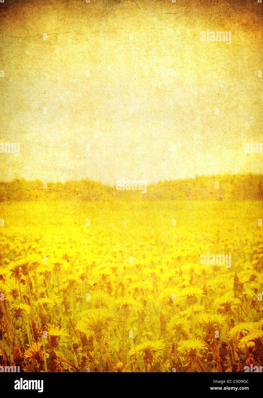 image of blooming field over vintage paper Stock Photo - Alamy