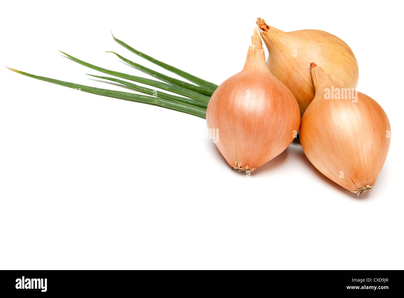 Fresh bulbs of onion on a white background Stock Photo - Alamy