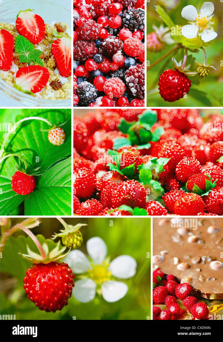 Colorful collage strawberry Stock Photo - Alamy