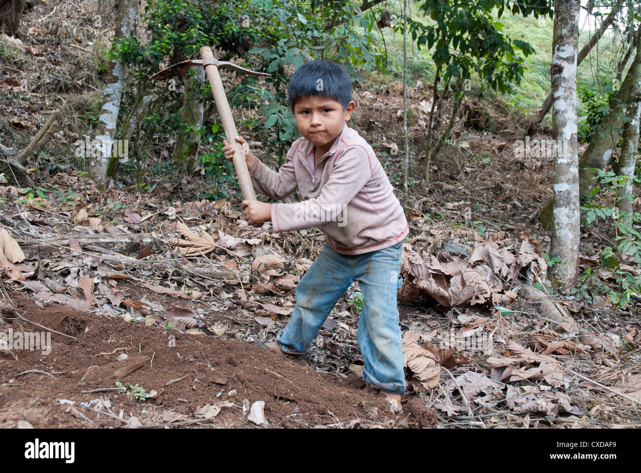Children working in fields hi-res stock photography and images - Alamy