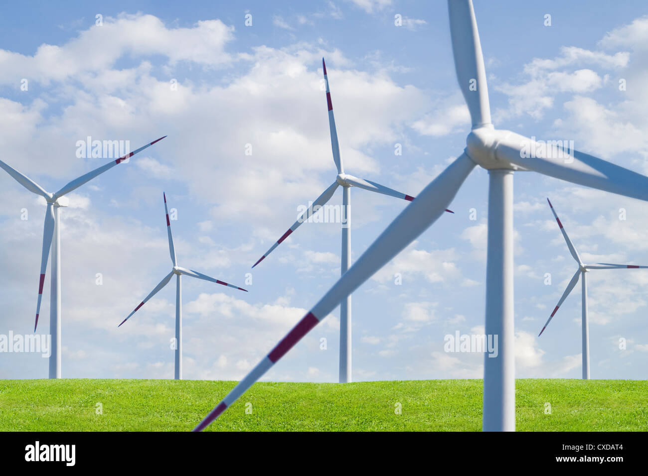 Wind farm in field Stock Photo - Alamy